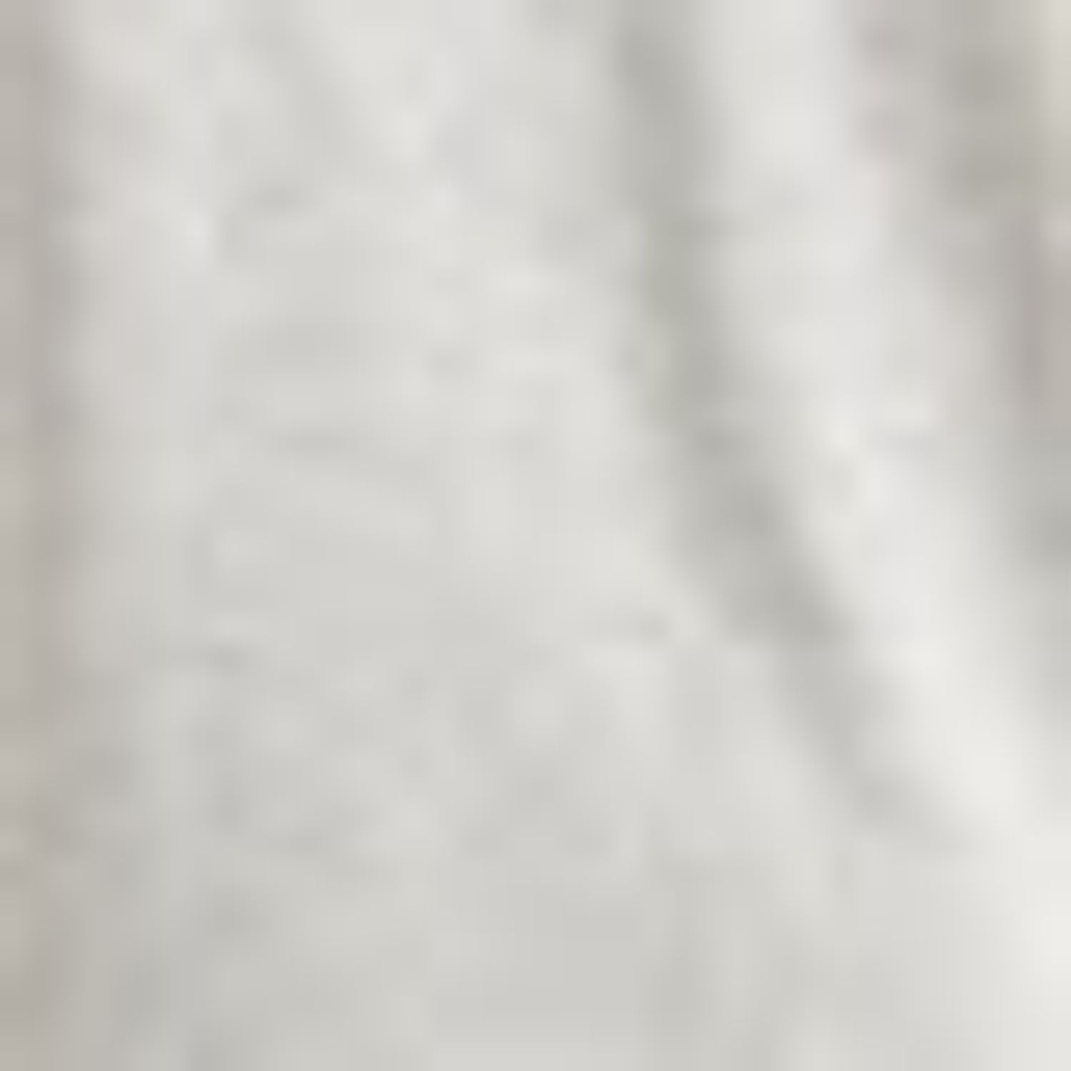 Moletom Levis CORE NG ZIP UP Levi’s® - lojalevis